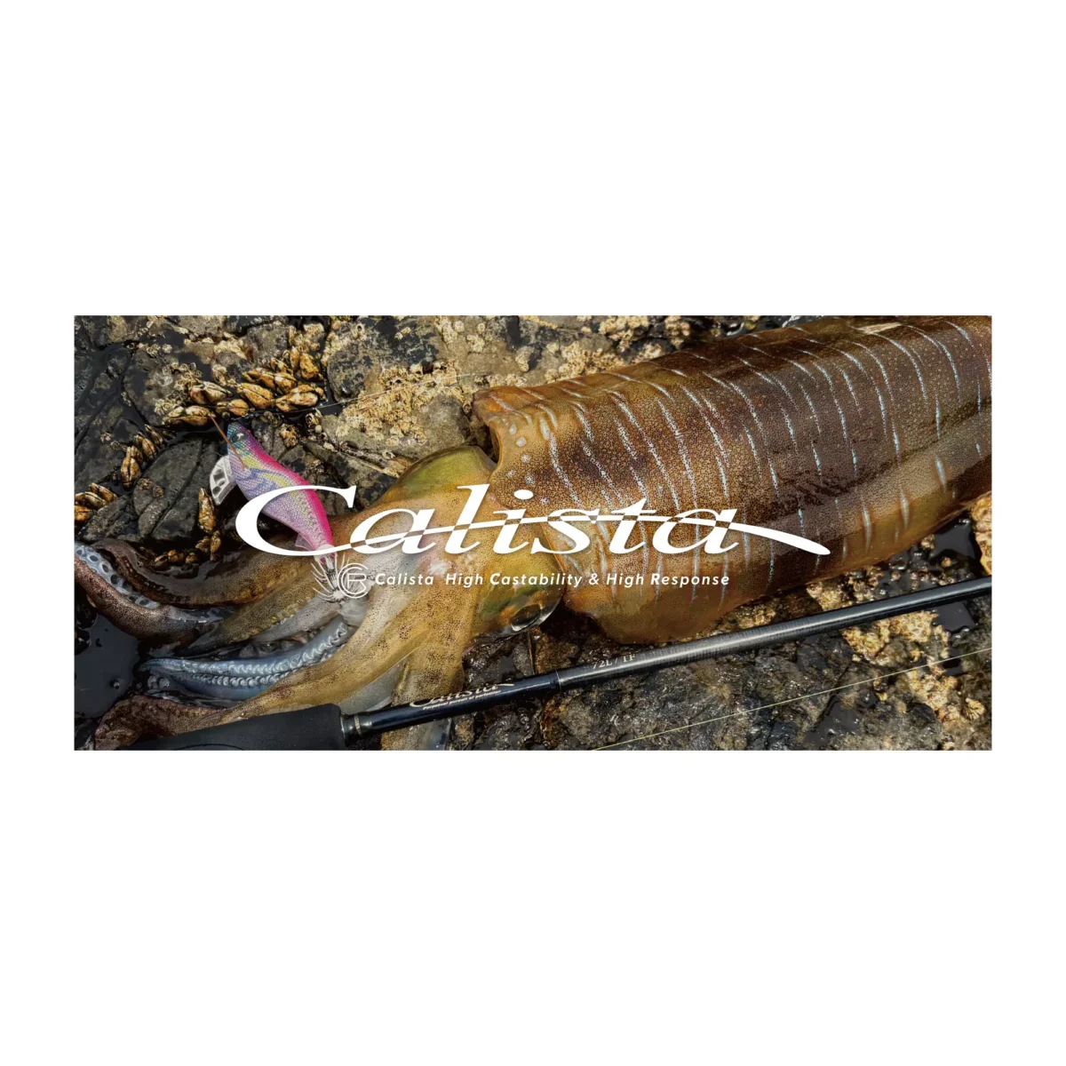 Caña New Calista 2026 de Yamaga Blanks 🎣 Compra Cañas de Eging para ...